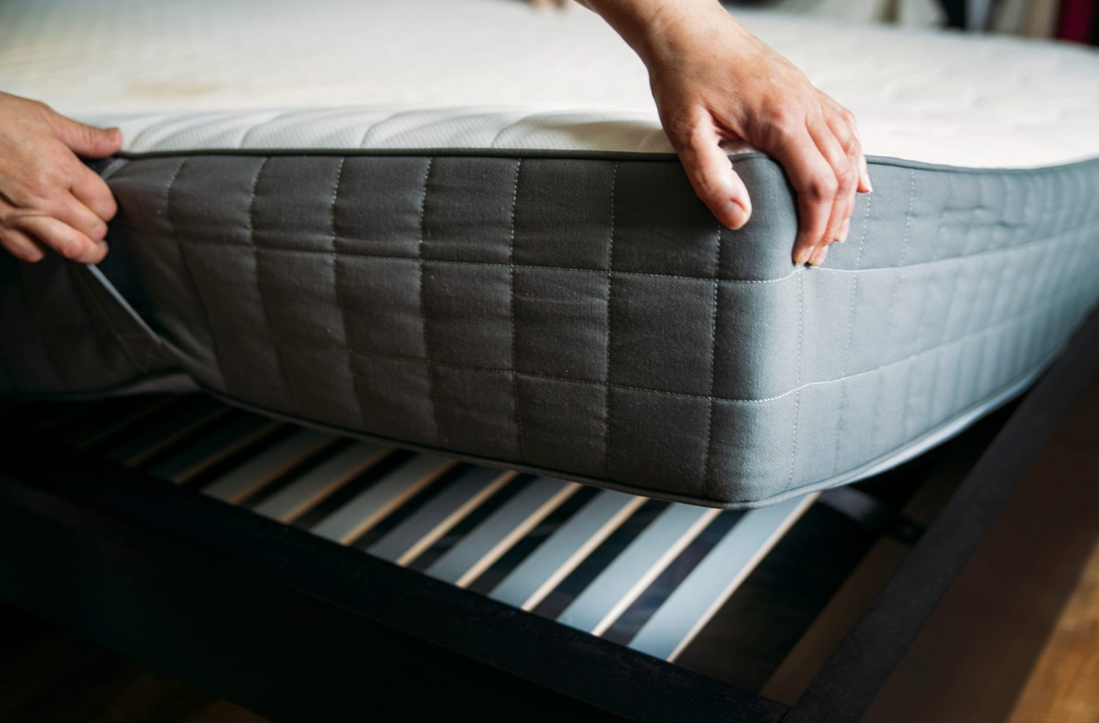 Understanding Preventing Bed Bug Infestations